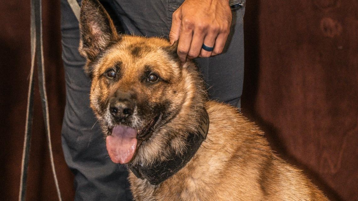 Cobb County Police K-9 Argo retirement | 11alive.com