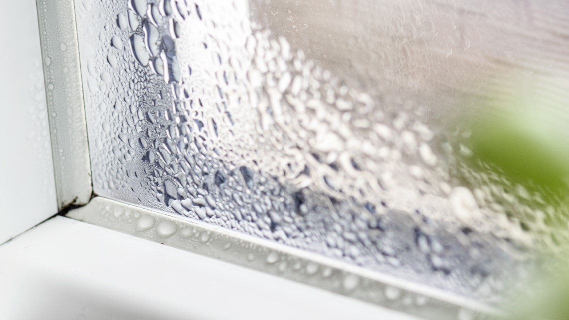 Excess of moisture can lead to problems in home | 11alive.com