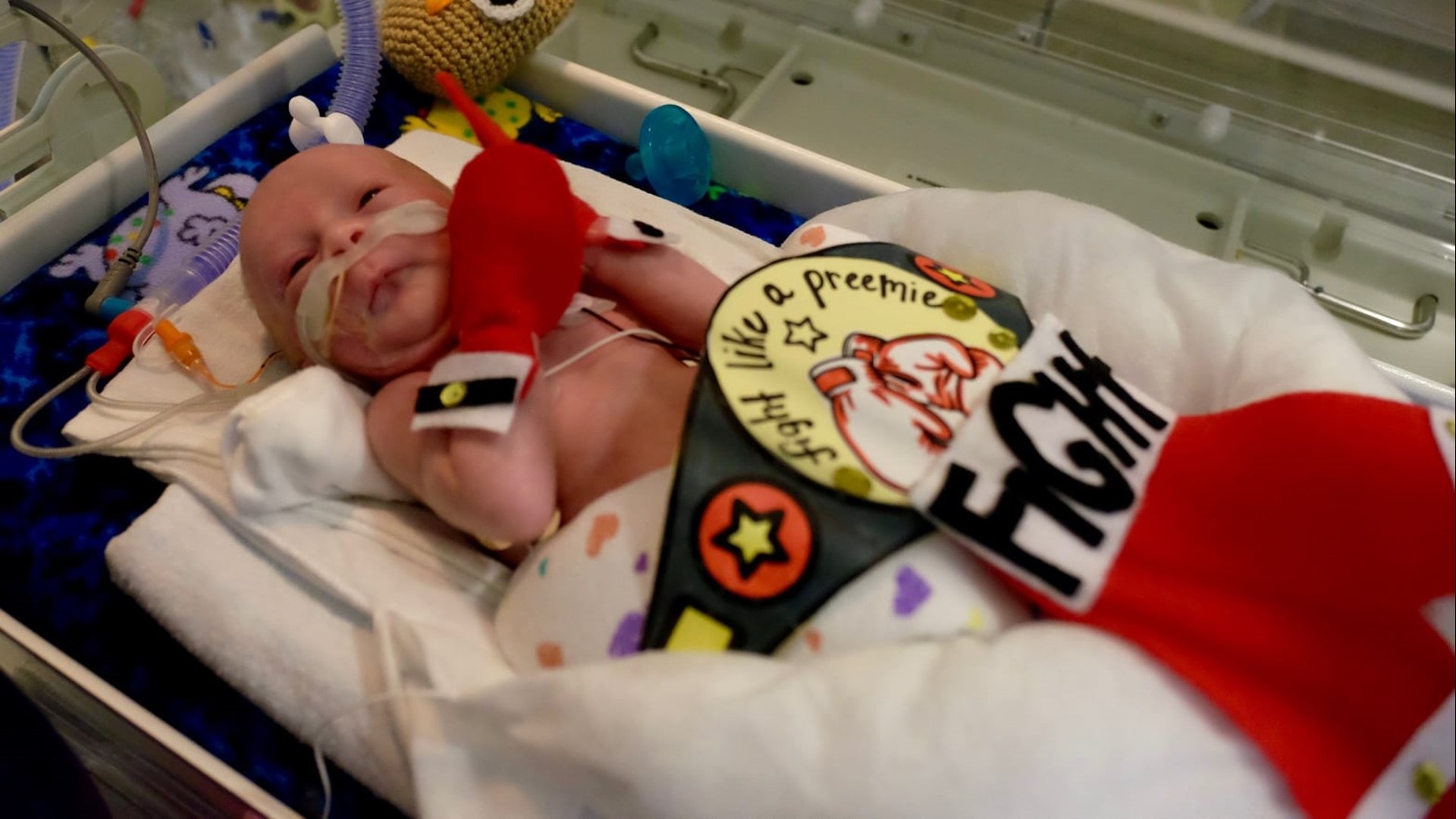 Wellstar nurses dress NICU infants in costumes for Halloween | 11alive.com