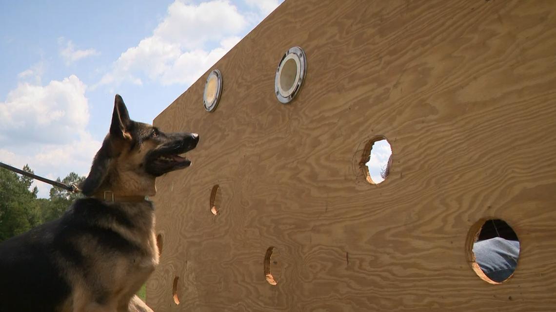 Georgia's Hurricane Creek K9 giving shelter dogs new hope | 11alive.com