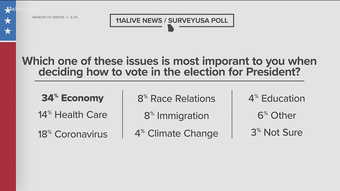 Here's what issues Georgia voters care about | 11alive.com