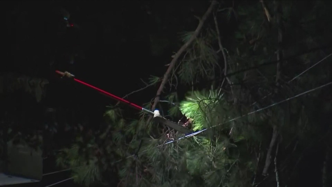 Storms knock out power for 50,000 in Georgia as more weather hits ...