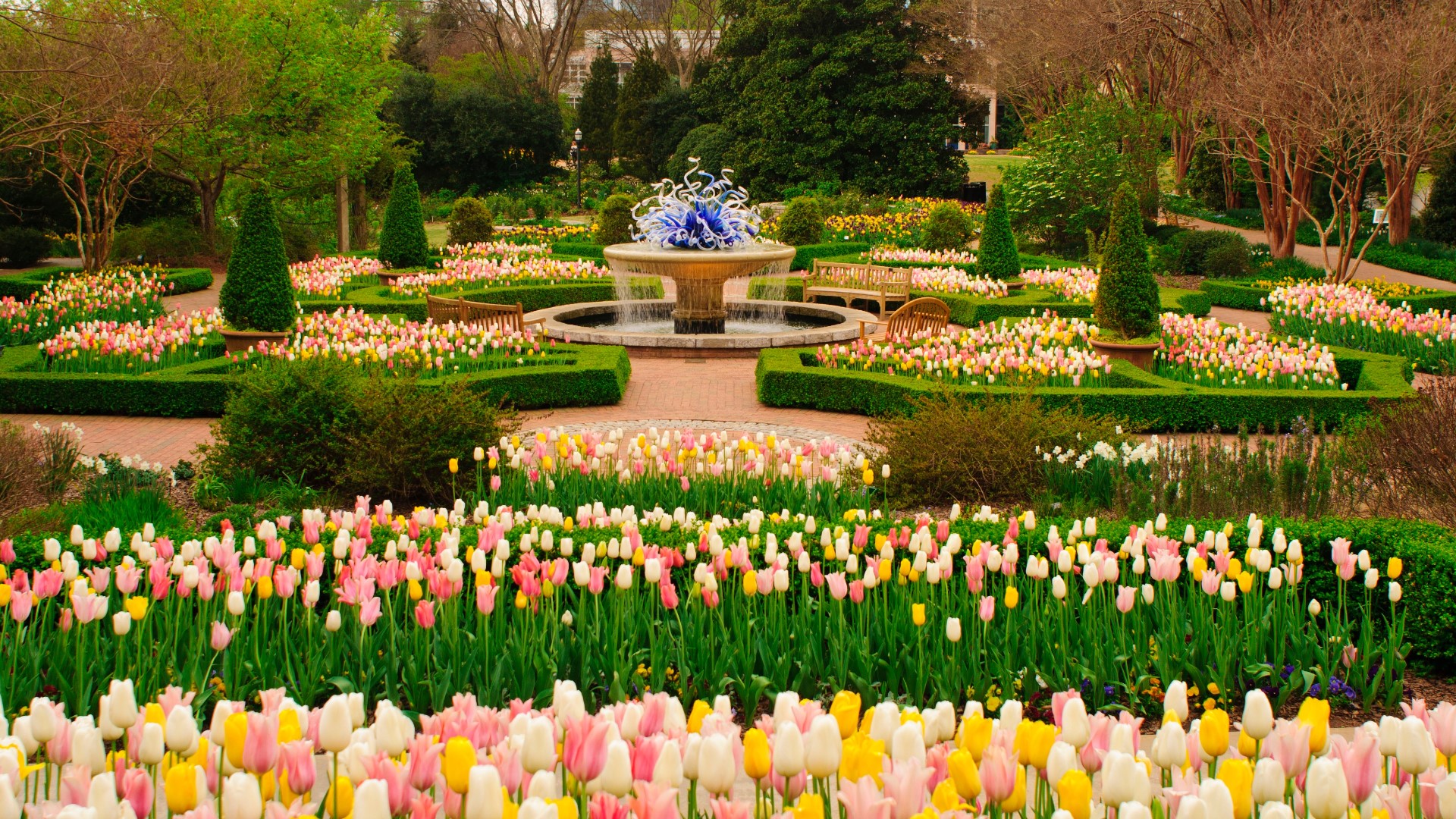 Atlanta Botanical Garden | beautiful botanical gardens in South ...