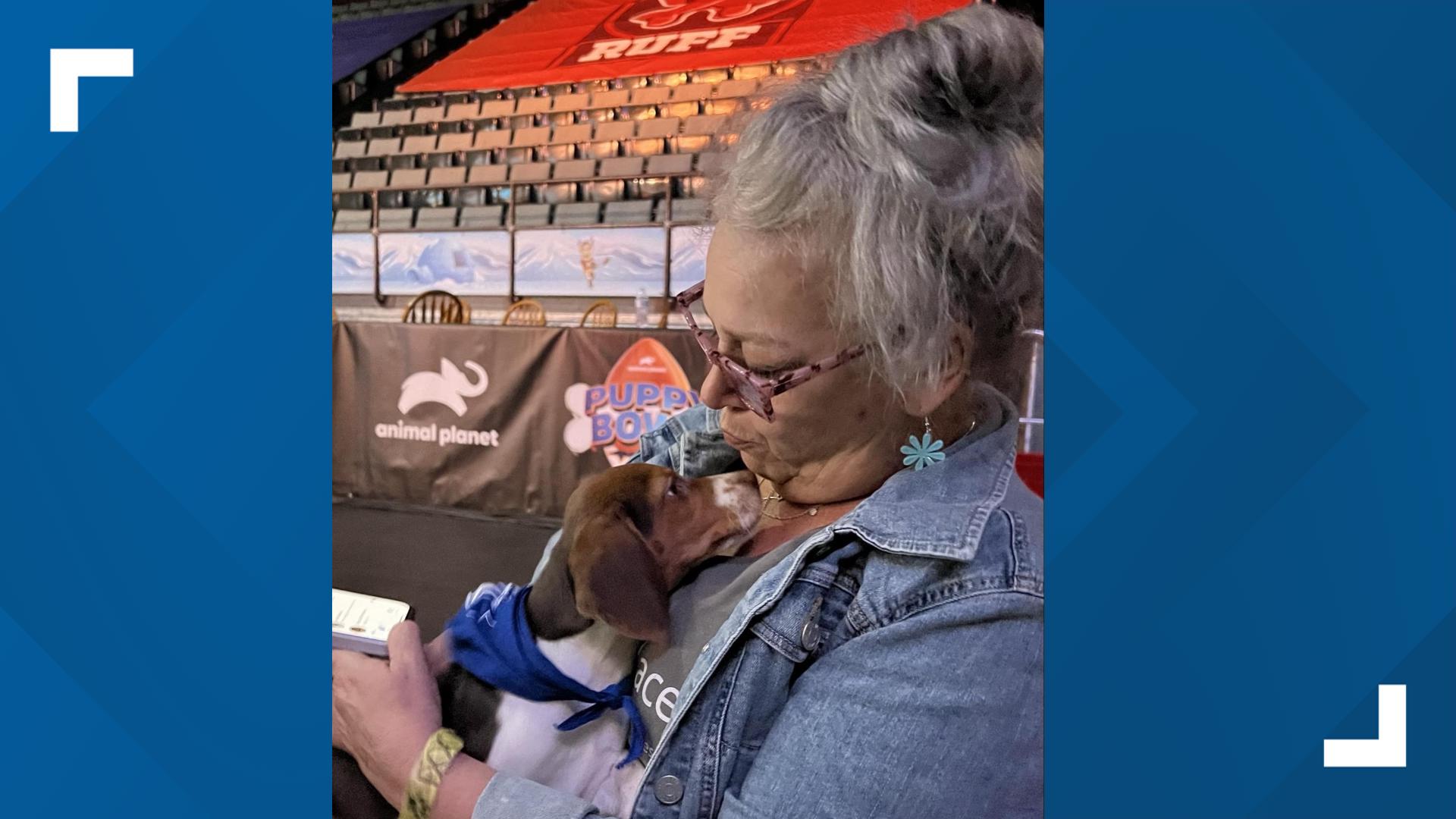 Puppy Bowl 2025 | Georgia pups | 11alive.com