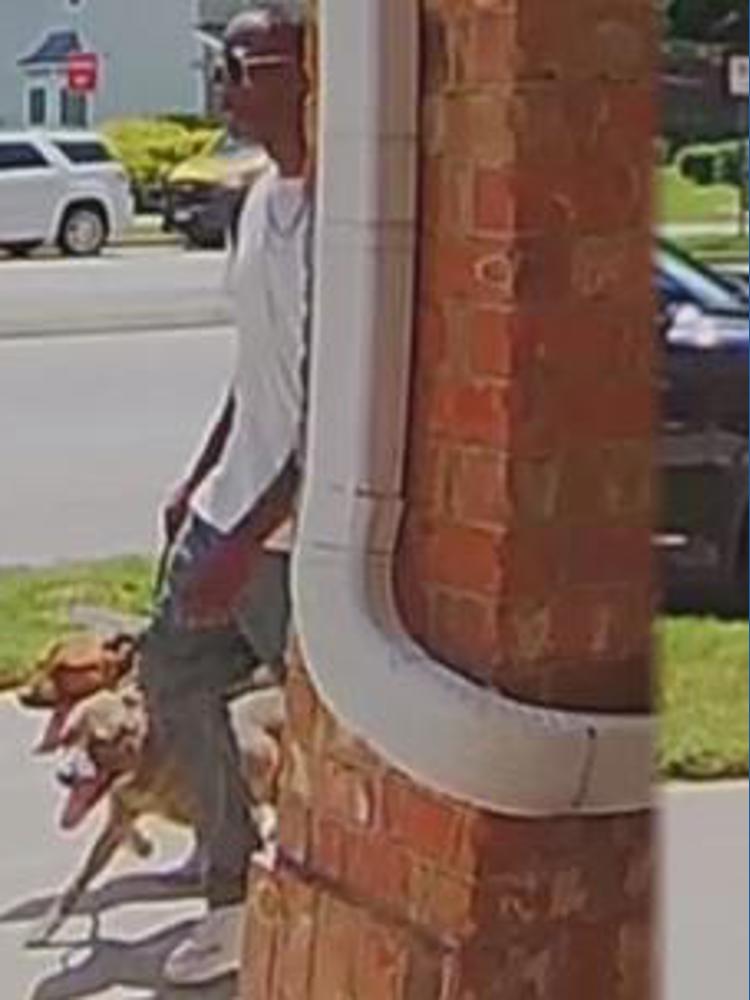 Suspect wanted after walking 2 dogs at Atlantic Station, sexually ...