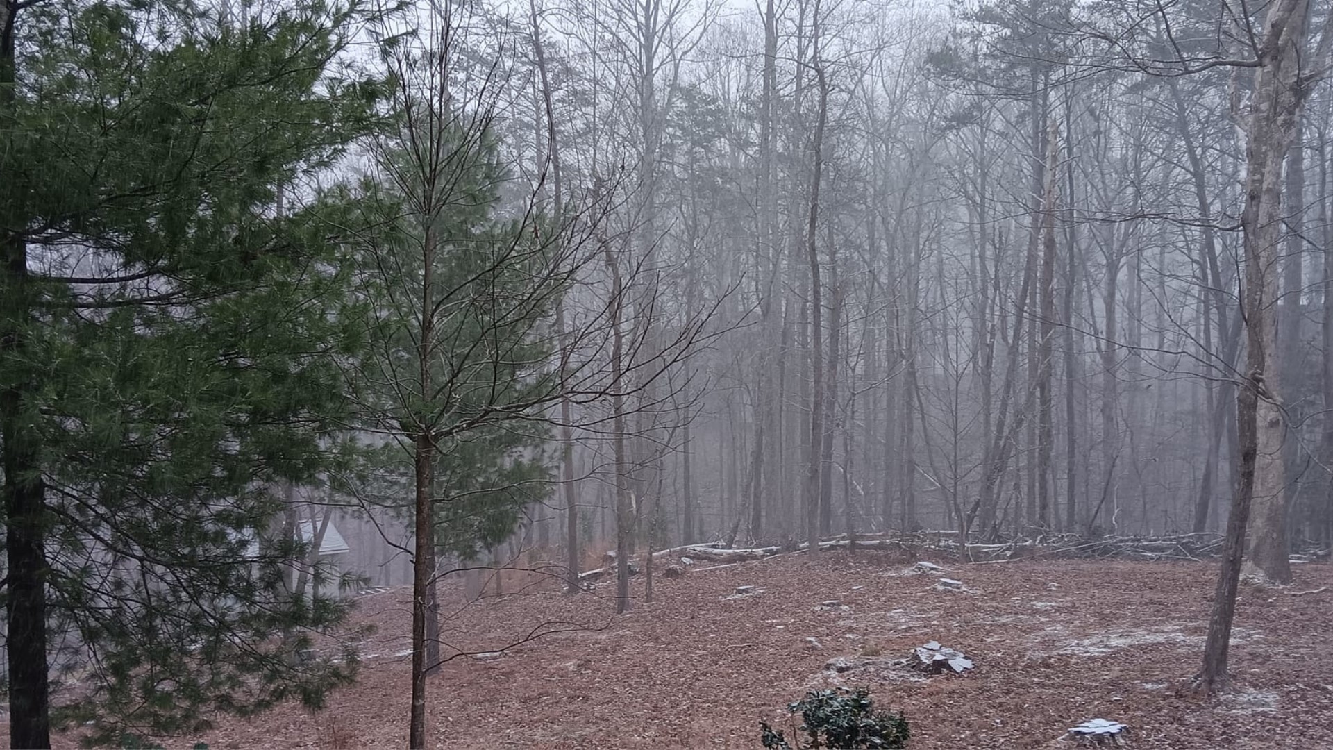 Georgia snow sightings on Friday December 29 | 11alive.com