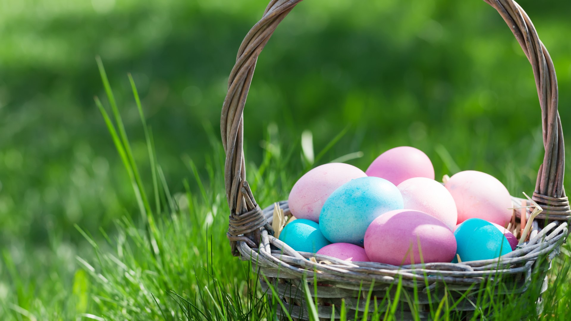 LIST | 11 things to do in Atlanta for Easter; March 29 – 31 | 11alive.com