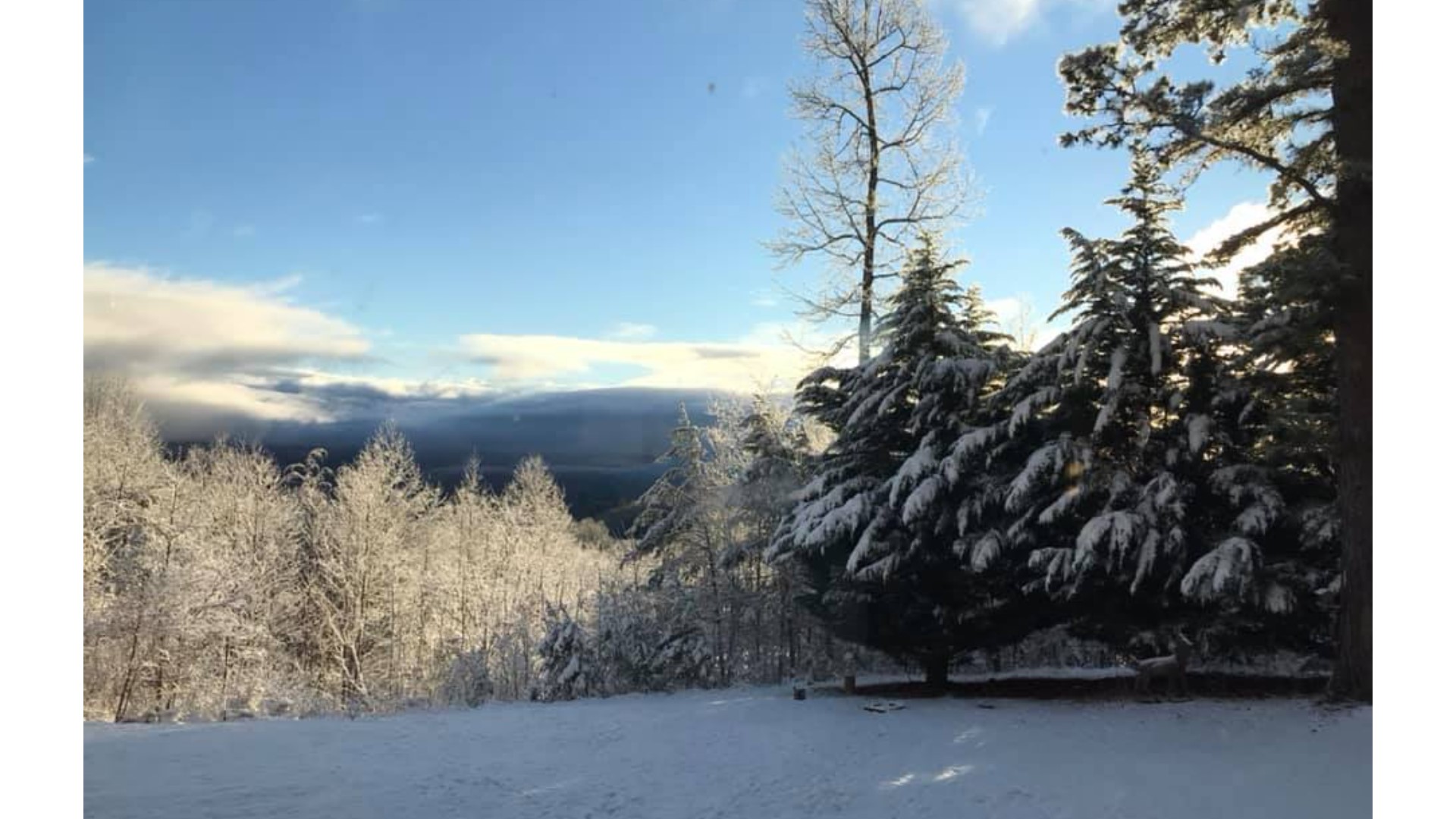 Snow fall videos and photos from north Georgia and metro Atlanta ...