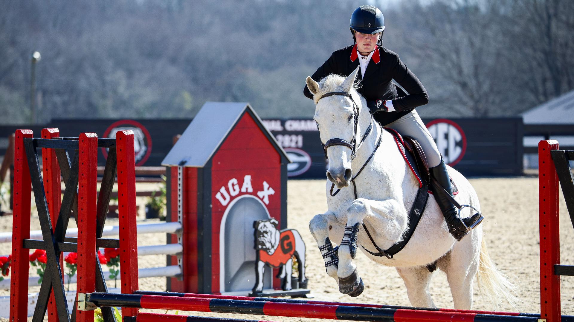 UGA Bulldogs win equestrian national championship | 11alive.com