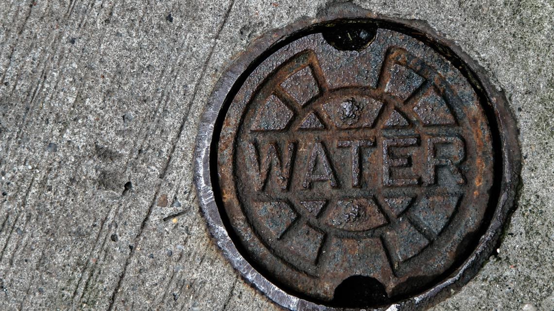 Casper the dog who killed 8 coyotes wins award | 11alive.com