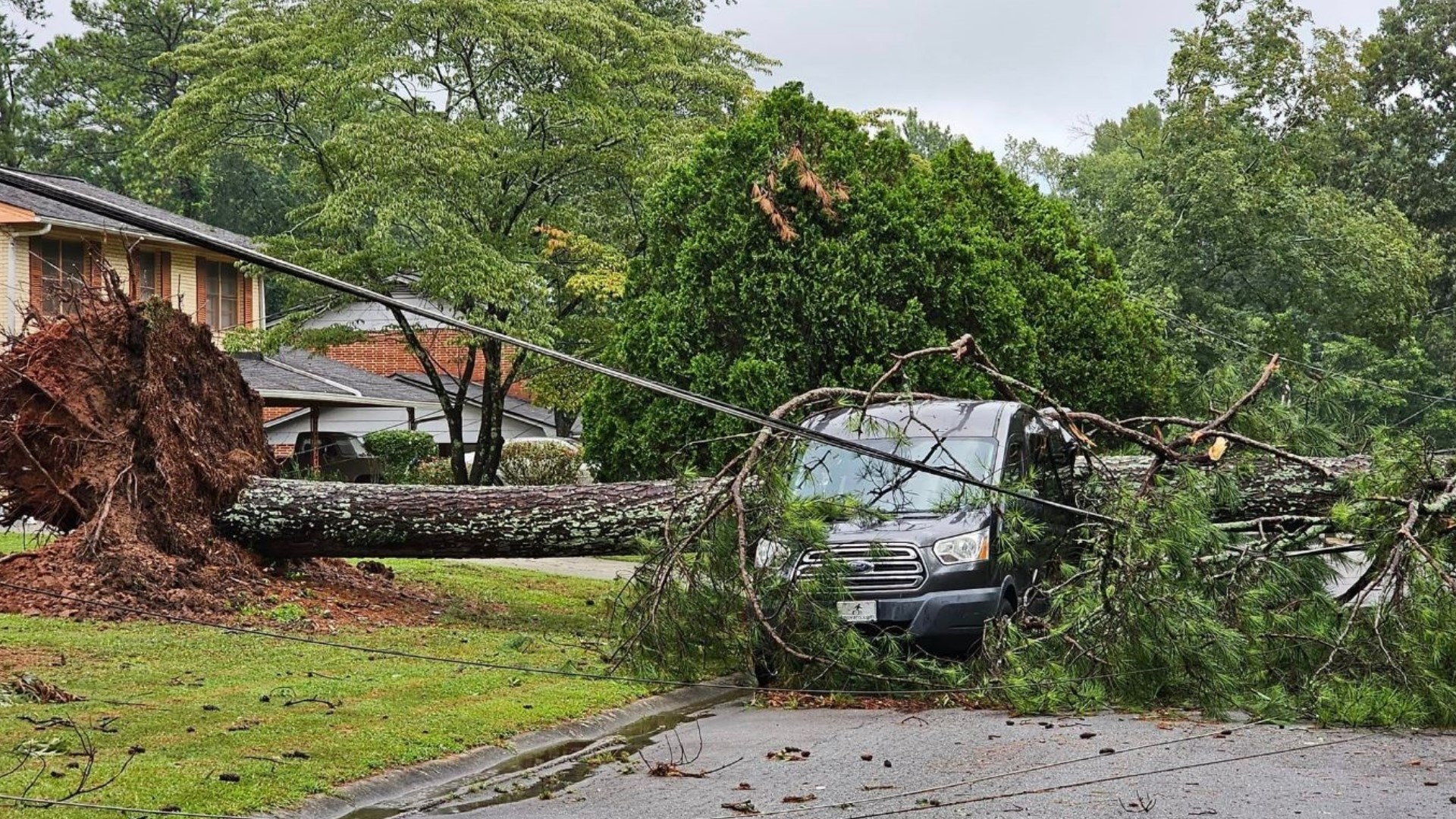 Tree splits van in half in DeKalb County | 11alive.com