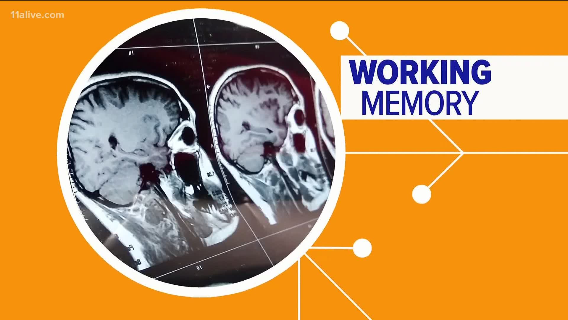 How your brain's working memory can dictate how well you socially ...