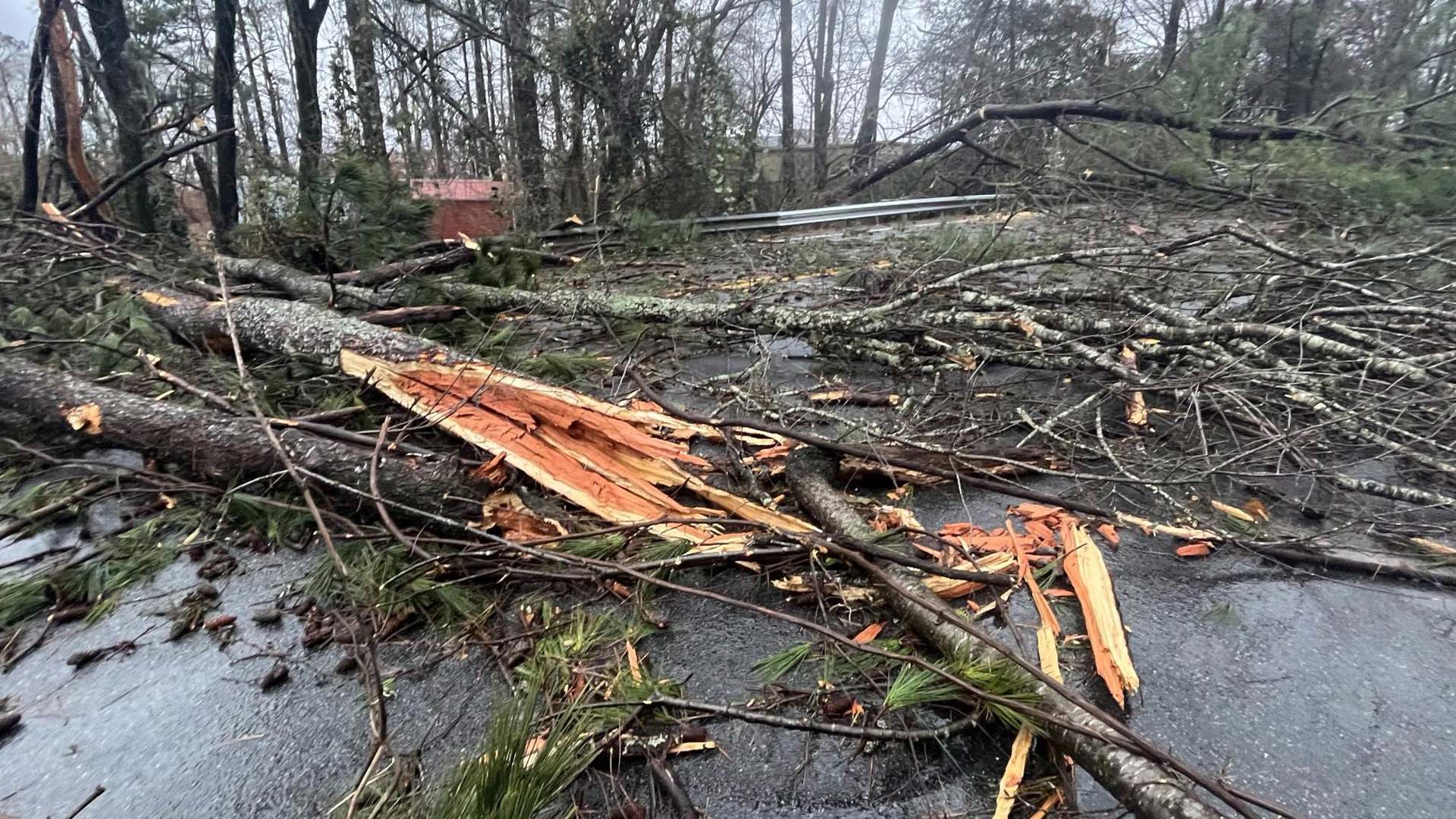 Severe weather damage in Georgia after overnight storms | 11alive.com