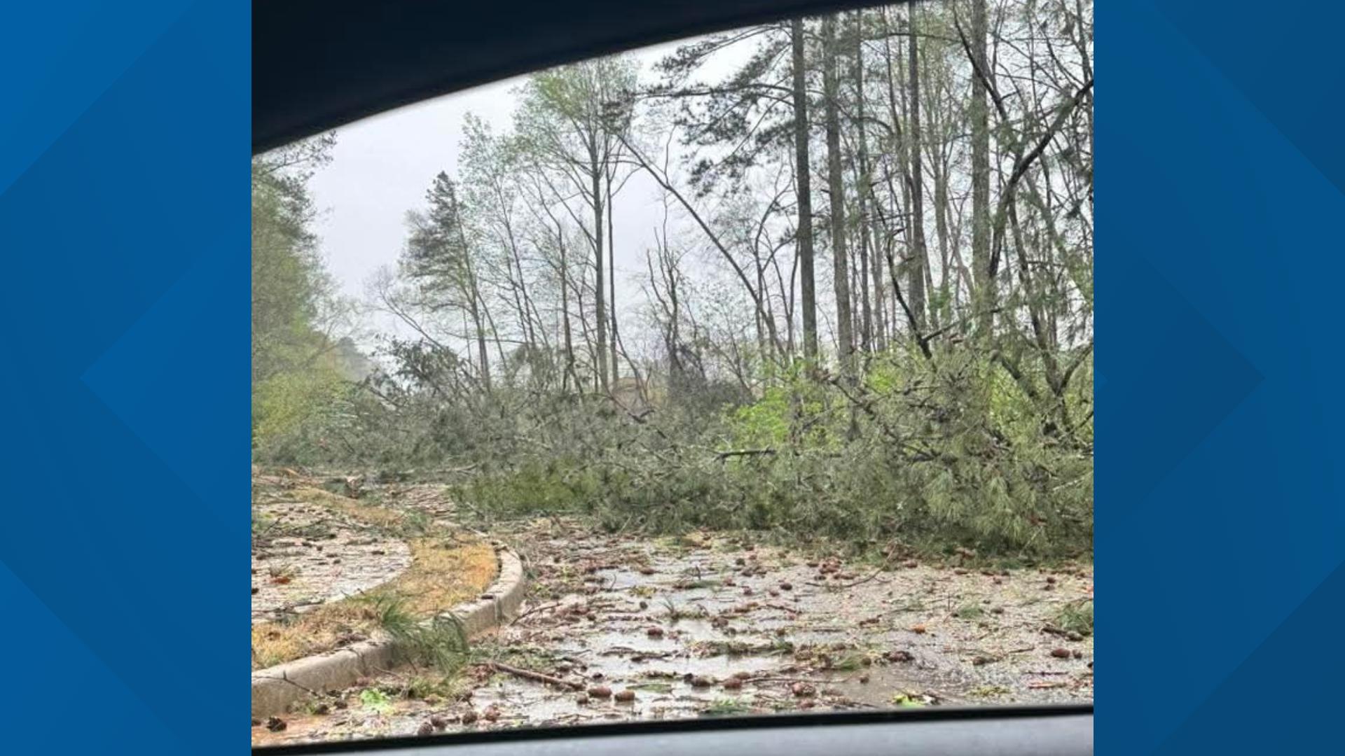 Storm damage in north Georgia for March 31 | Latest details | 11alive.com