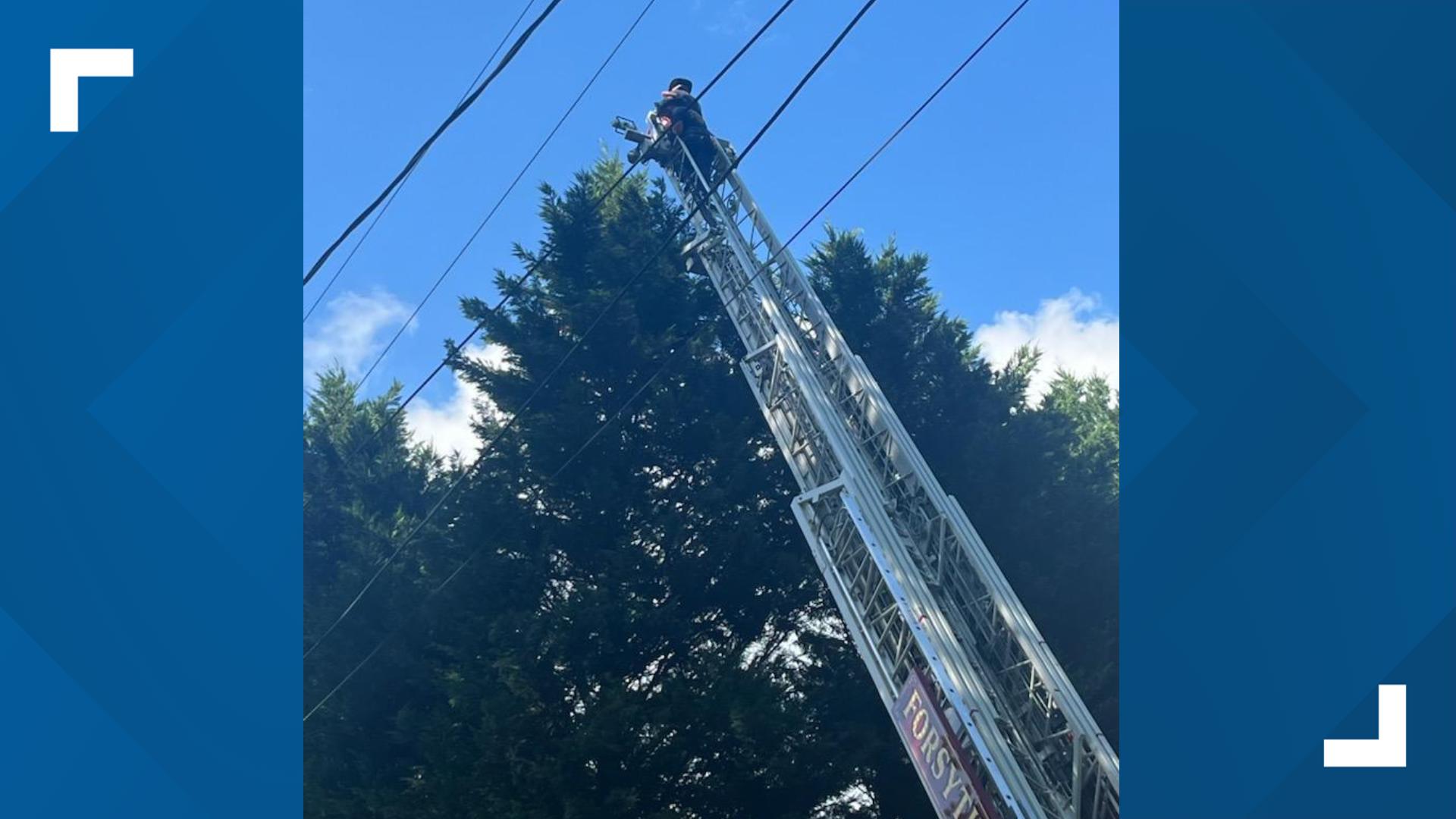 Firefighters rescue 6-year-old from 60-foot tree in Forsyth County ...