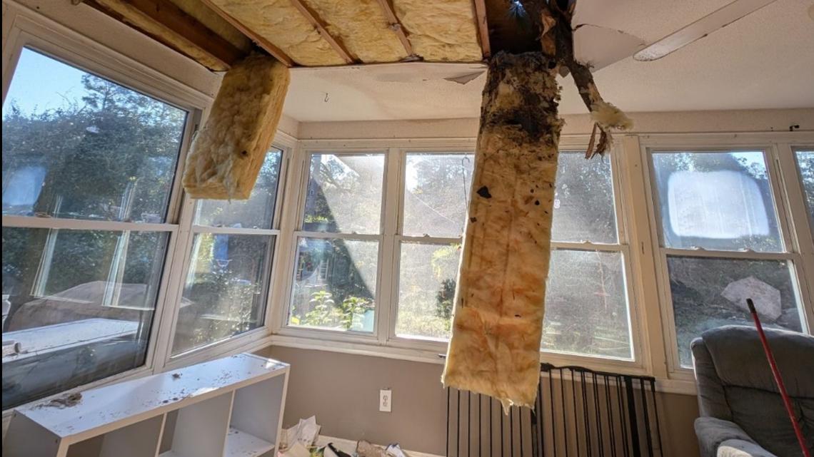 Helene impacts still felt by Georgians | 11alive.com