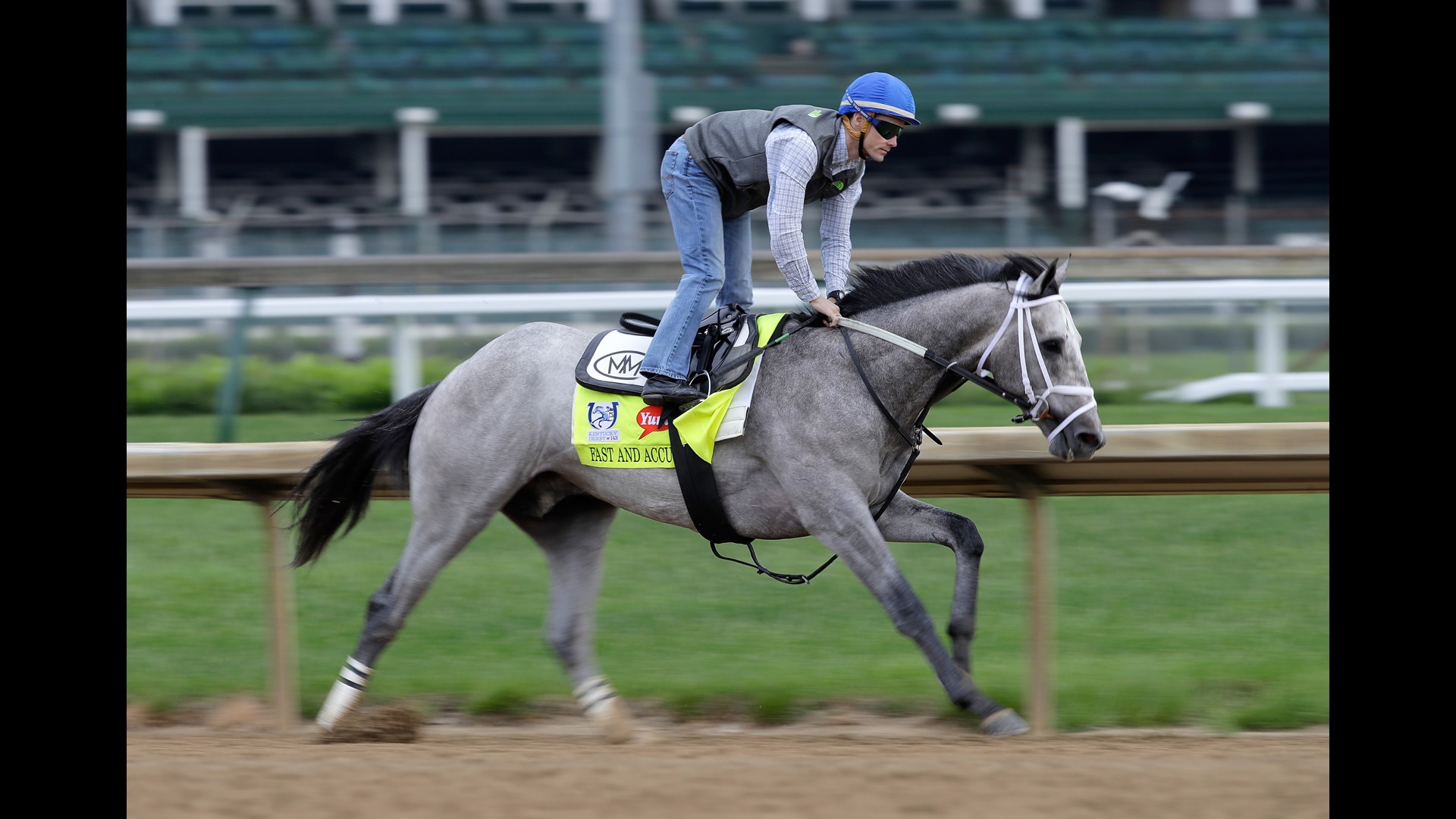 A look at the horses in the 143rd Kentucky Derby | 11alive.com