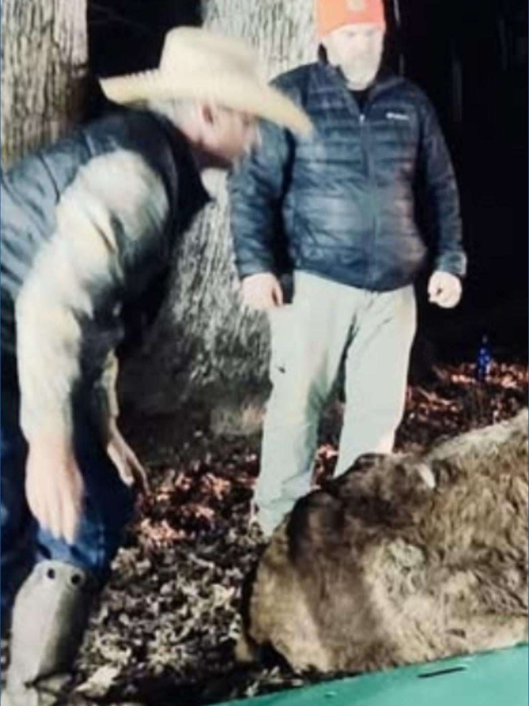 Cherokee County specialized team helps rescue mammoth donkey in north ...