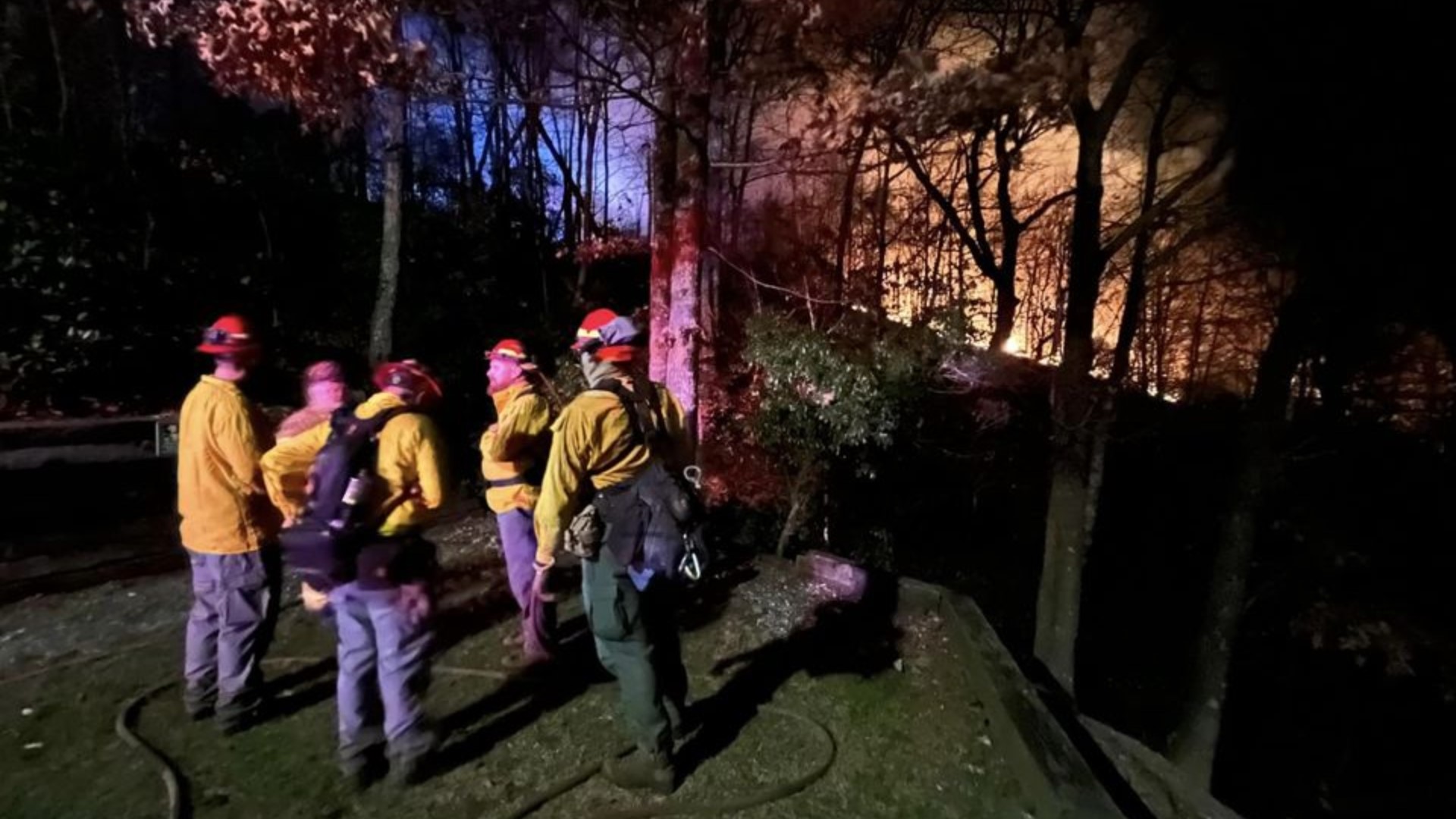 Whispering Lake contained to ground fire : Fannin Co. officials ...