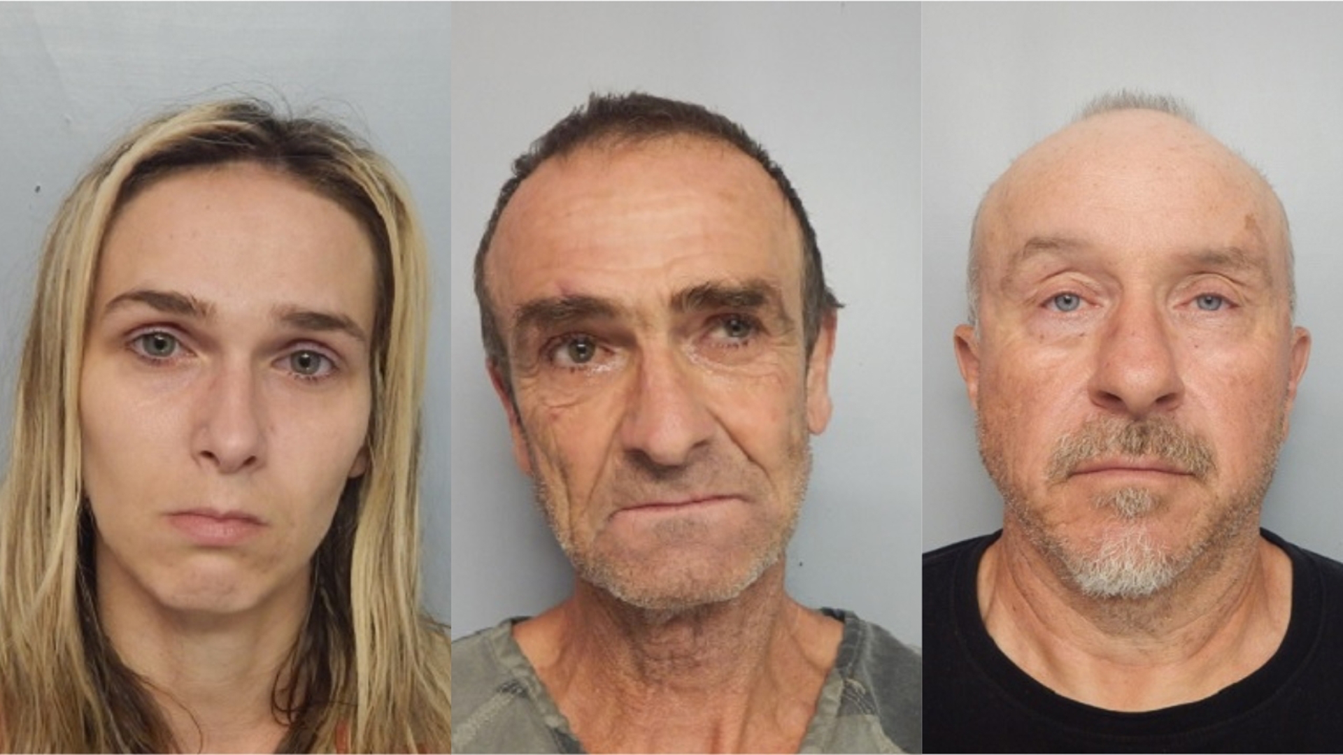 3 arrested for stealing from derailed train in Hall County, deputies ...