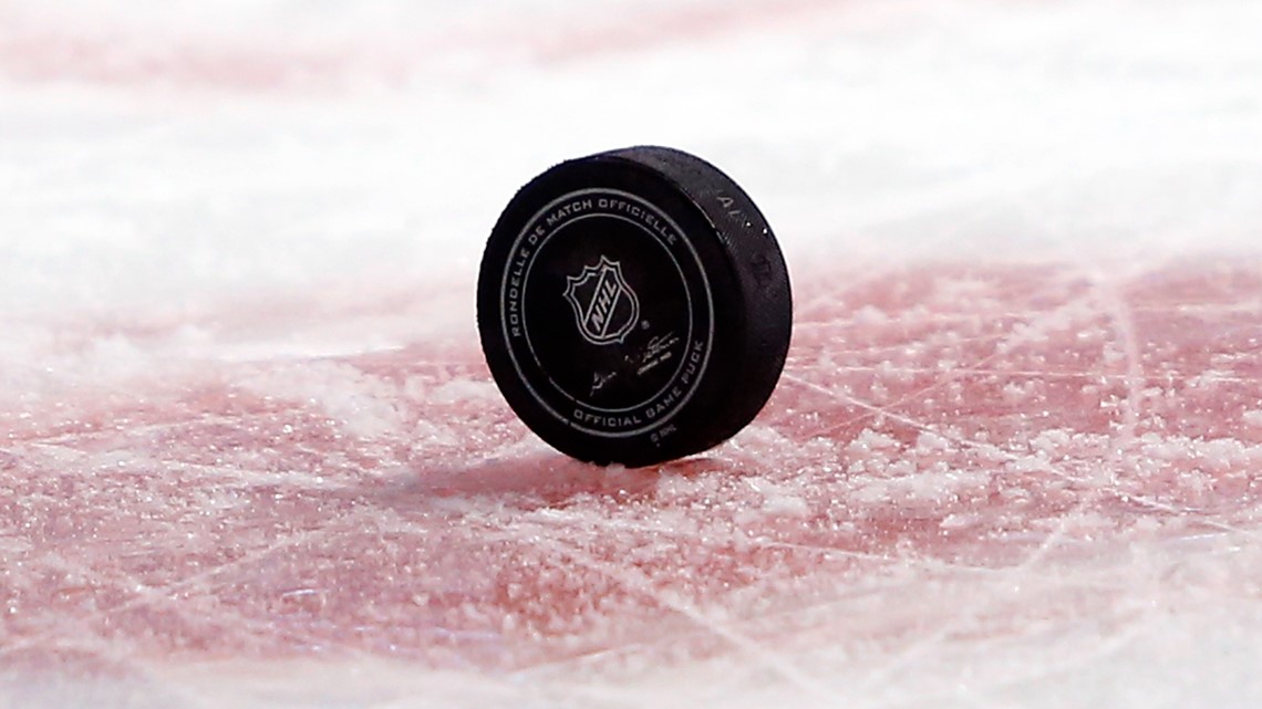 Atlanta Alpharetta NHL expansion team bid by Anson Carter group ...