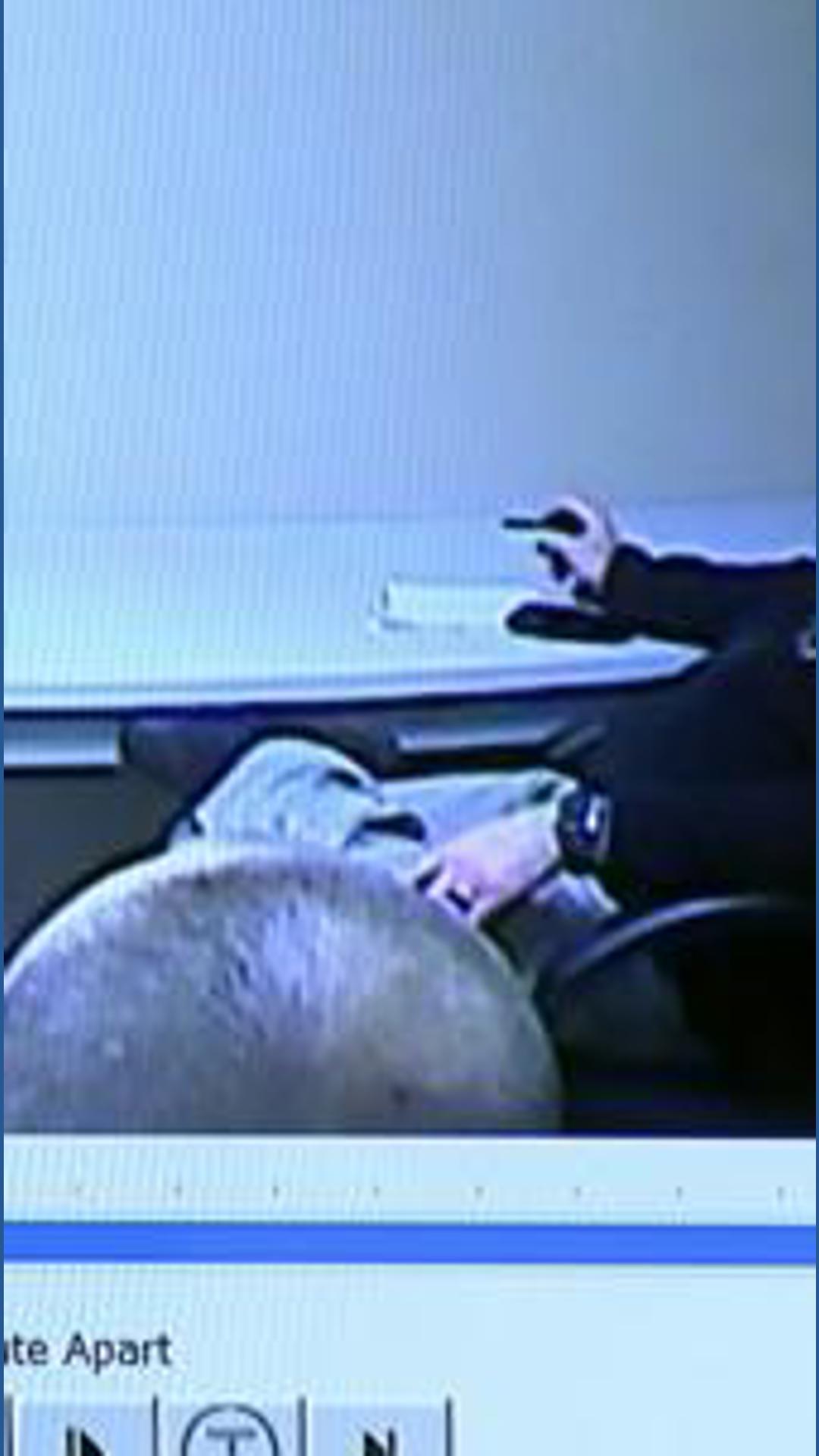 Day 3 in trial of 2021 killing of Justin and Amber Hicks | Court ...