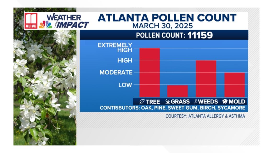 Atlanta pollen count today Sunday march 30 | 11alive.com