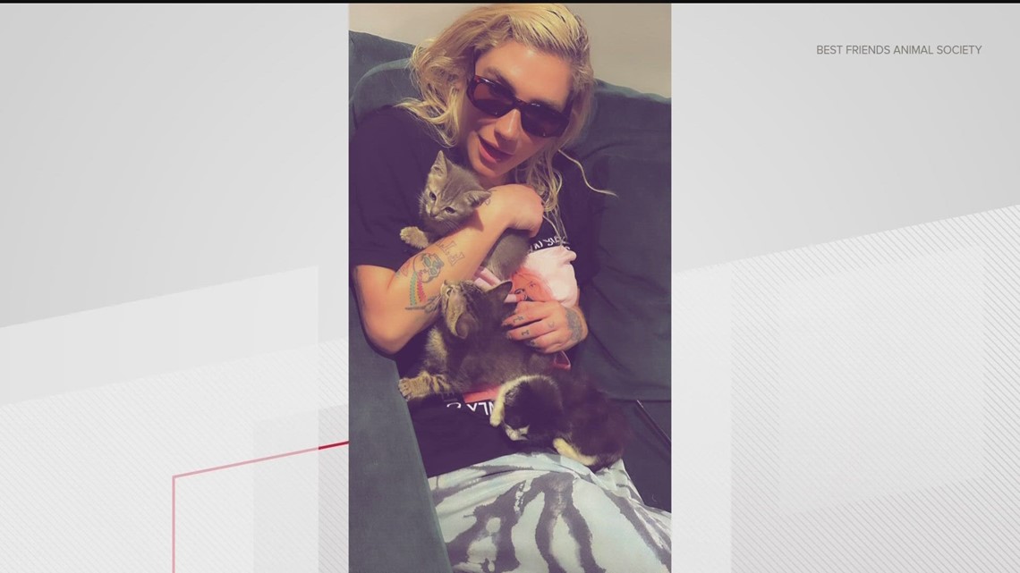 Iconic pop singer Kesha cuddles with kittens in metro Atlanta | 11alive.com
