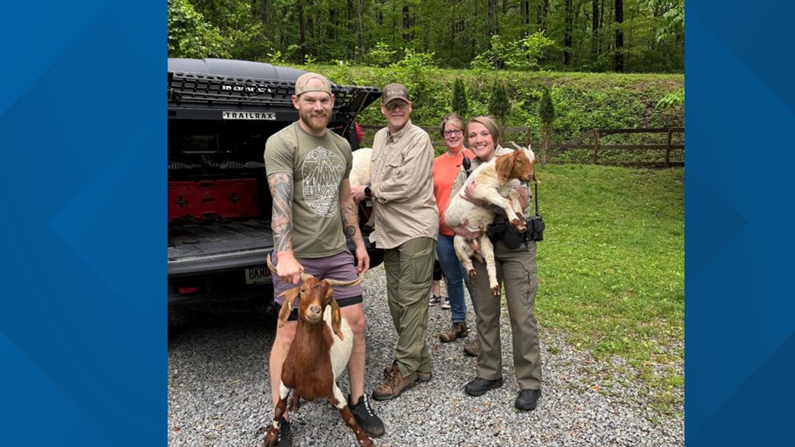 11Alive anchor Jonathan Martin | 11alive.com