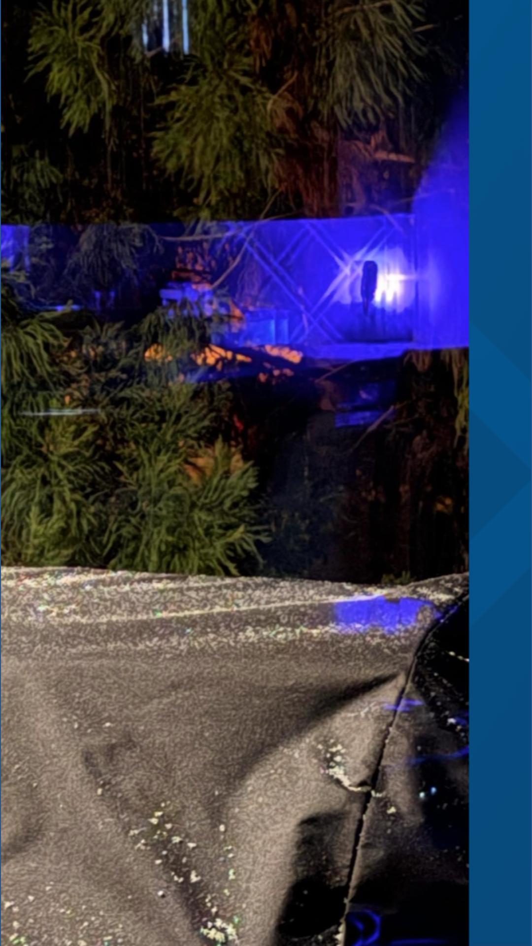 Saturday weather updates: Snow expected across north and eastern ...