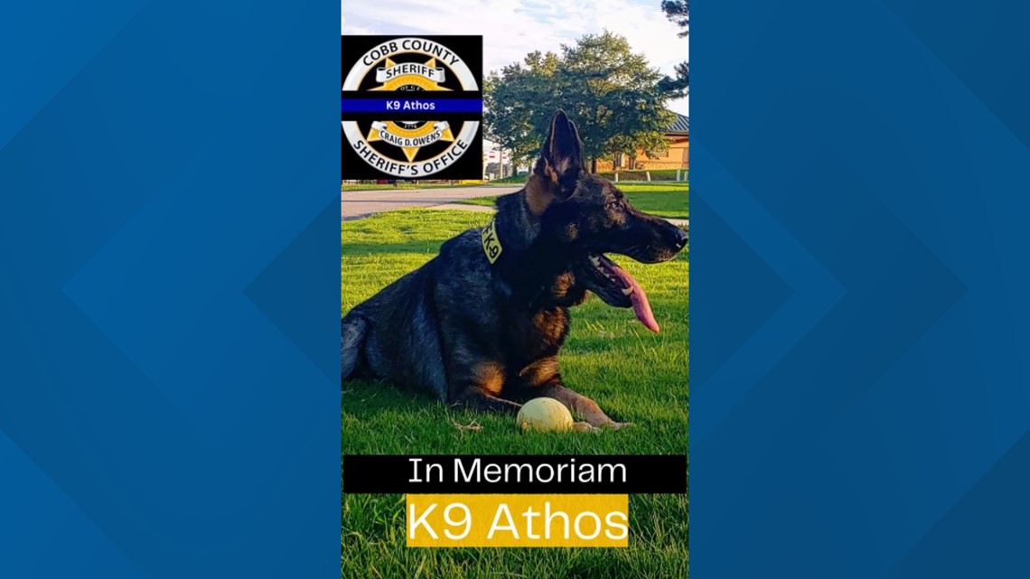 Cobb County Sheriff's Office K9 dies | 11alive.com