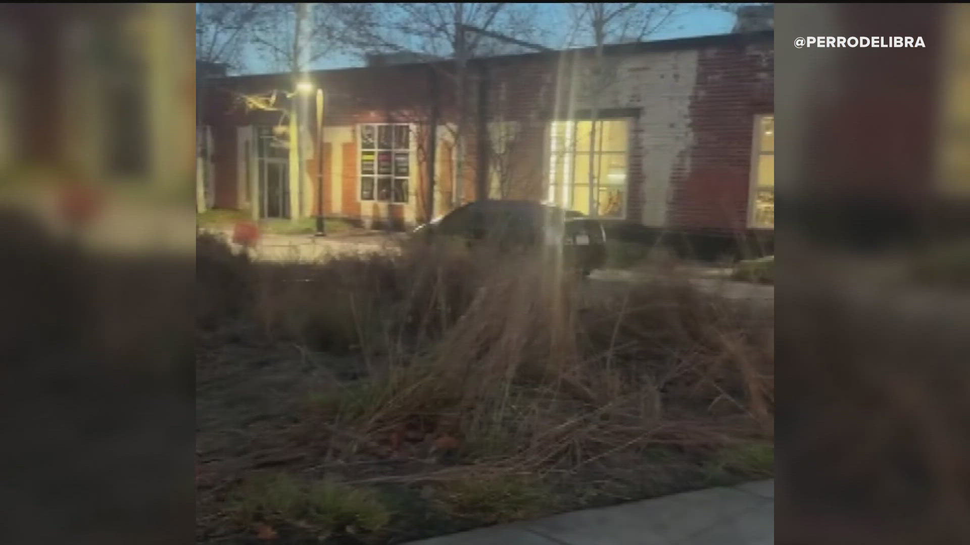 Cause of death for Rob Reiner, Michele Singer Reiner revealed | 11alive.com