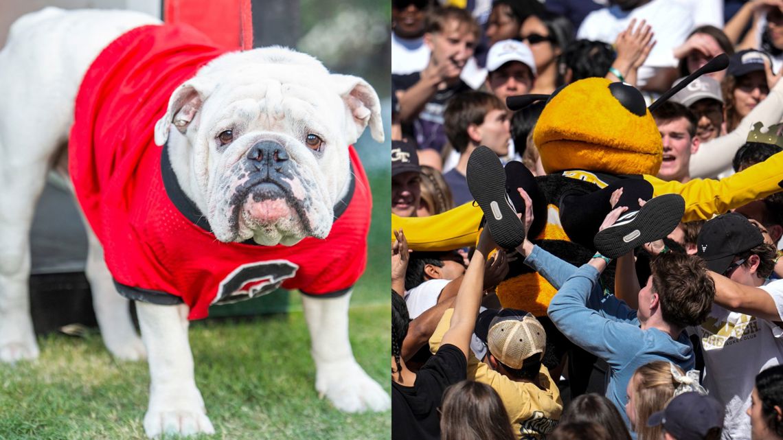 The stars who never play a down: Celebrating Georgia's most beloved ...