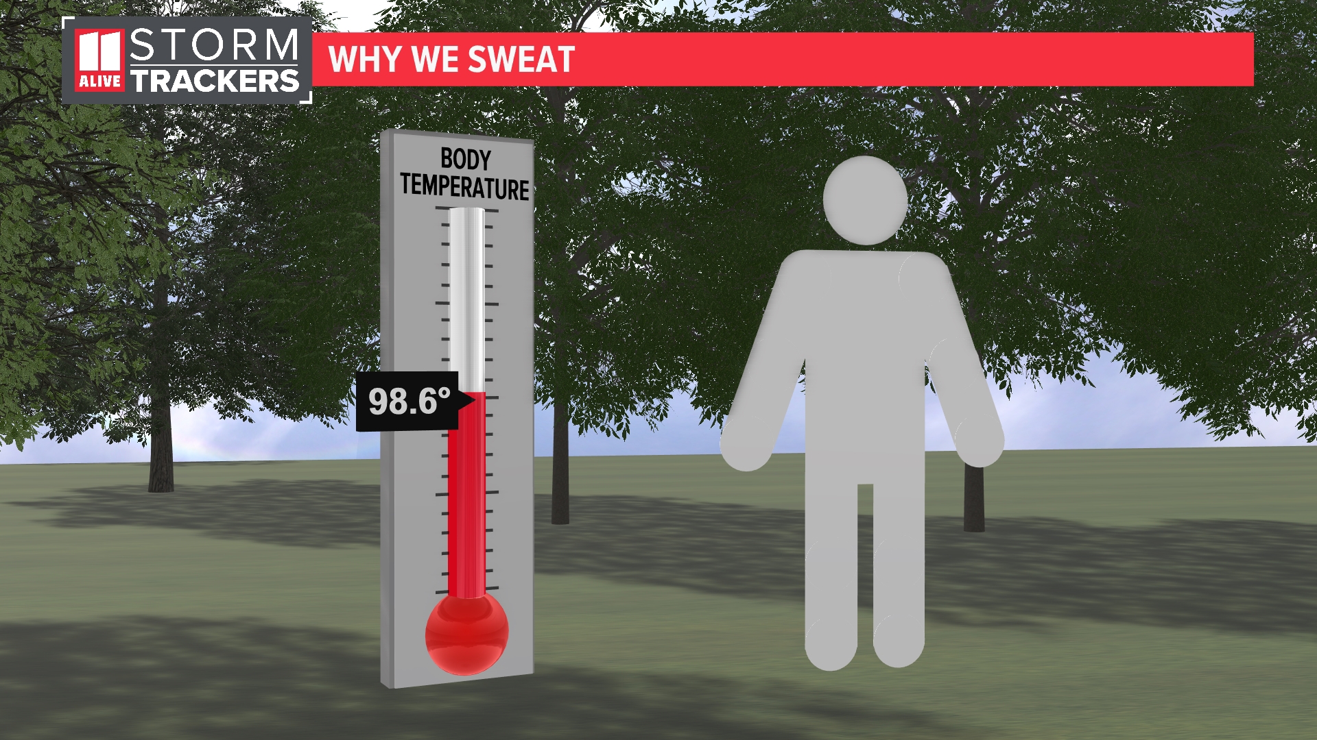 How sweat helps regulate your body temperature | 11alive.com