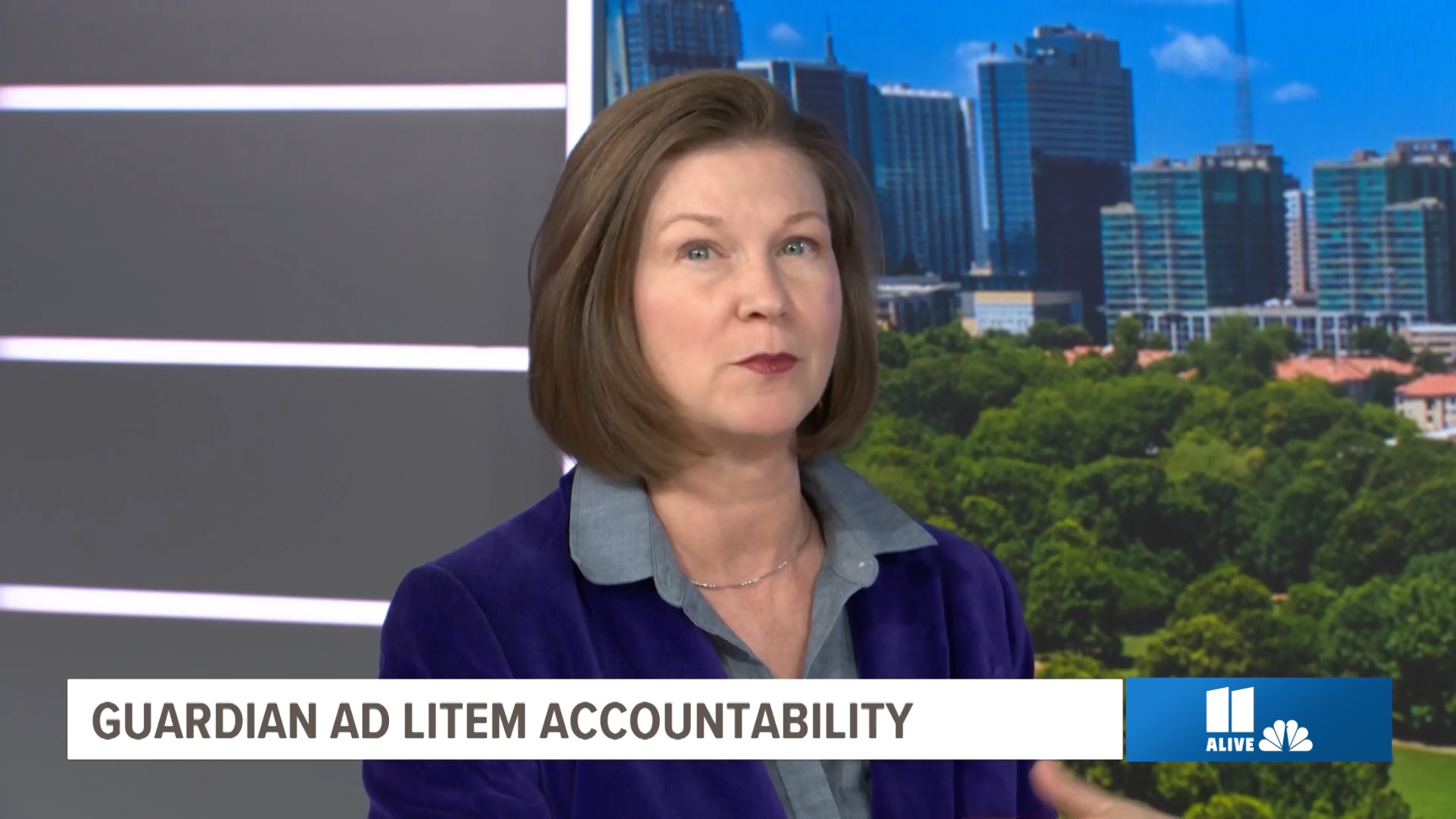 Inside Georgia’s guardian ad litem accountability concerns | 11alive.com
