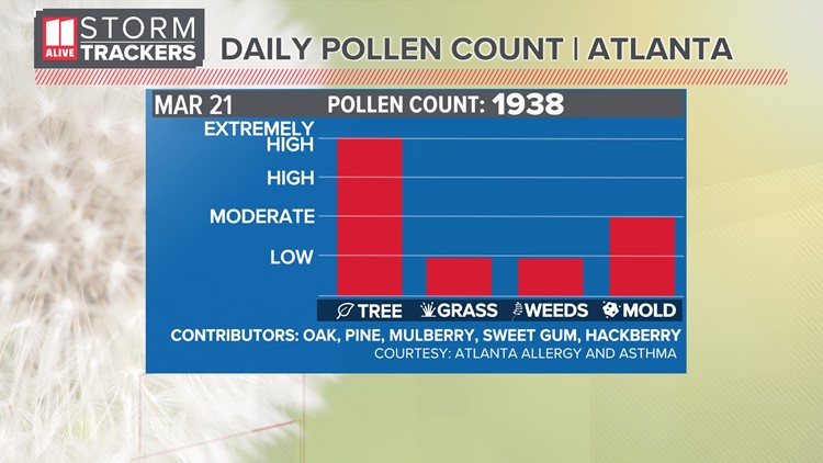 Pollen count reaches 'extremely high' in Atlanta | 11alive.com