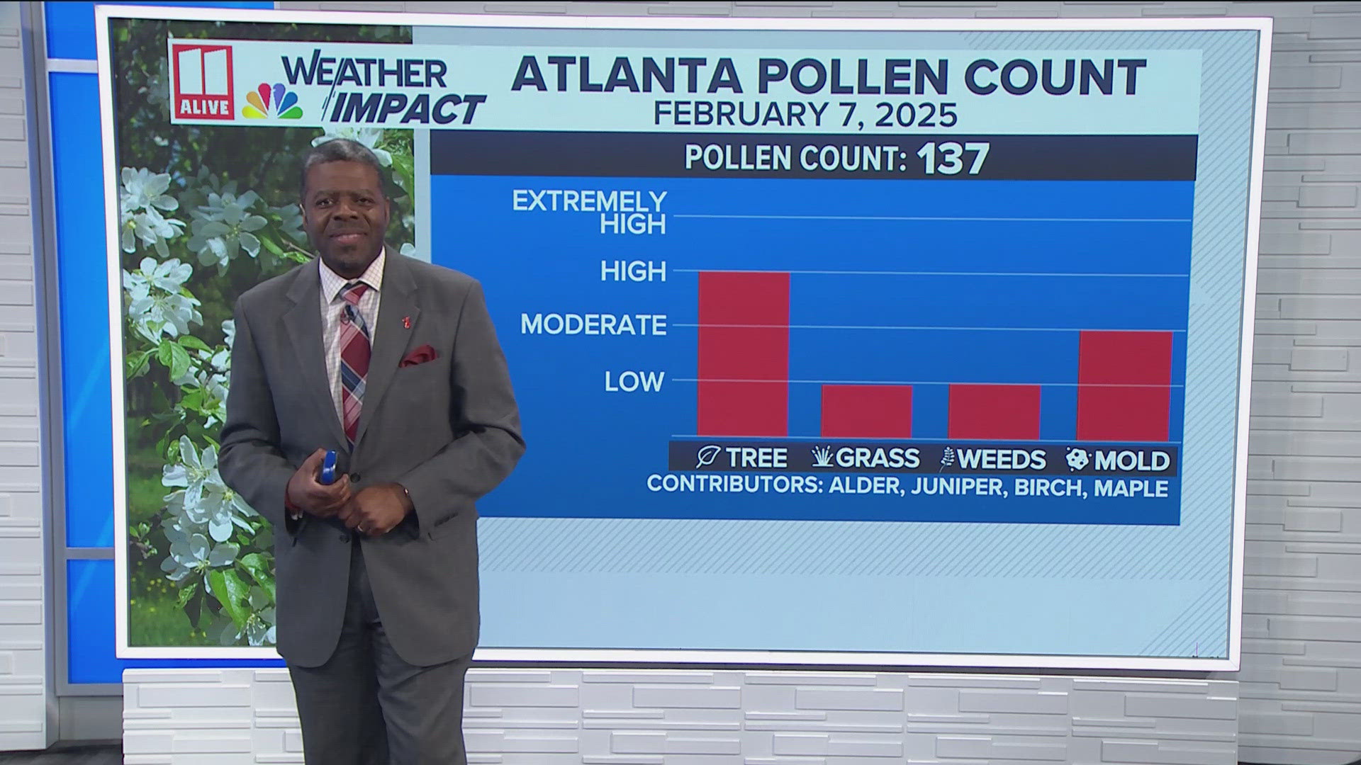 Pollen count in Atlanta | 11alive.com