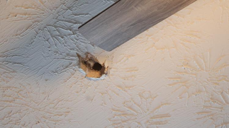 Roof of Henry Count home damaged by possible meteorite | 11alive.com