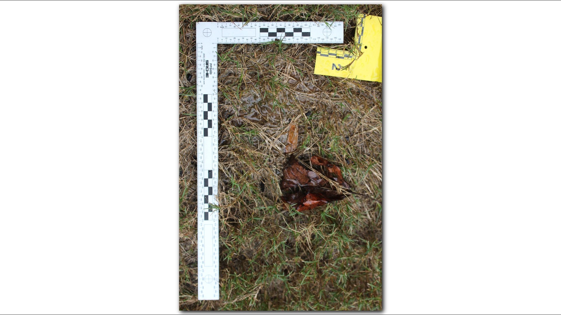 Inside the case file of the Tamla Horsford death investigation ...