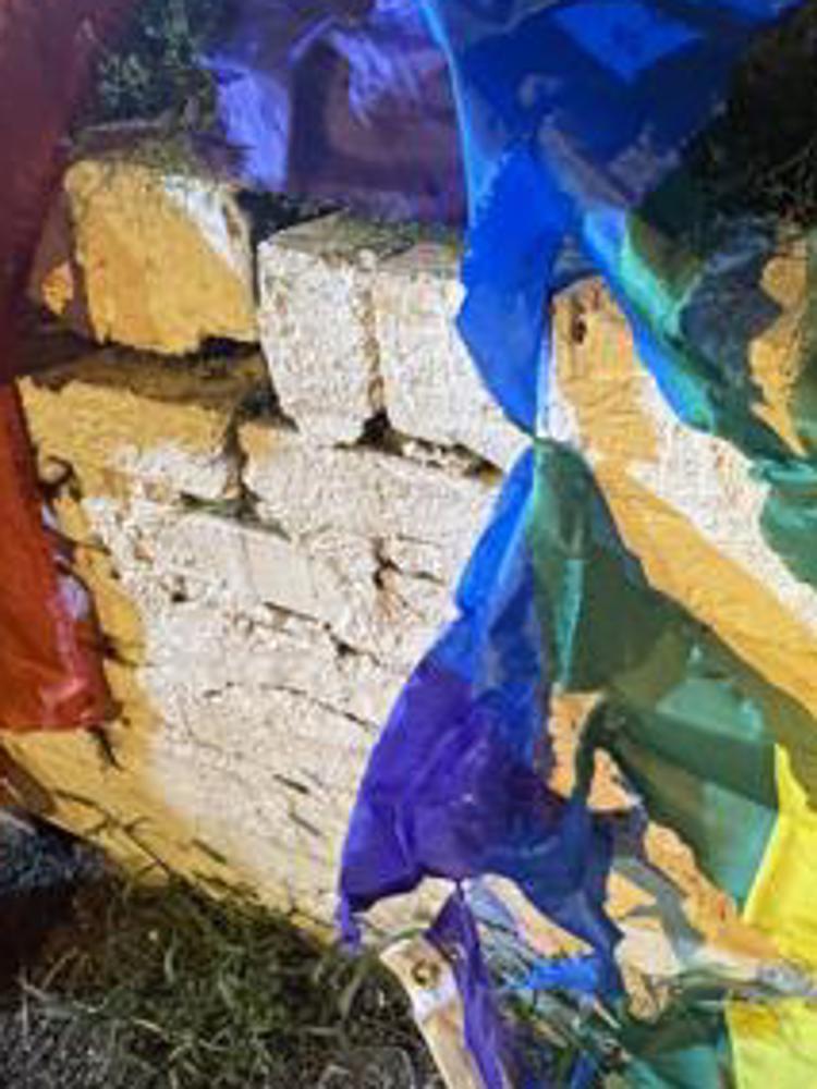 Pride flag slashing surveillance video released by Atlanta Police ...