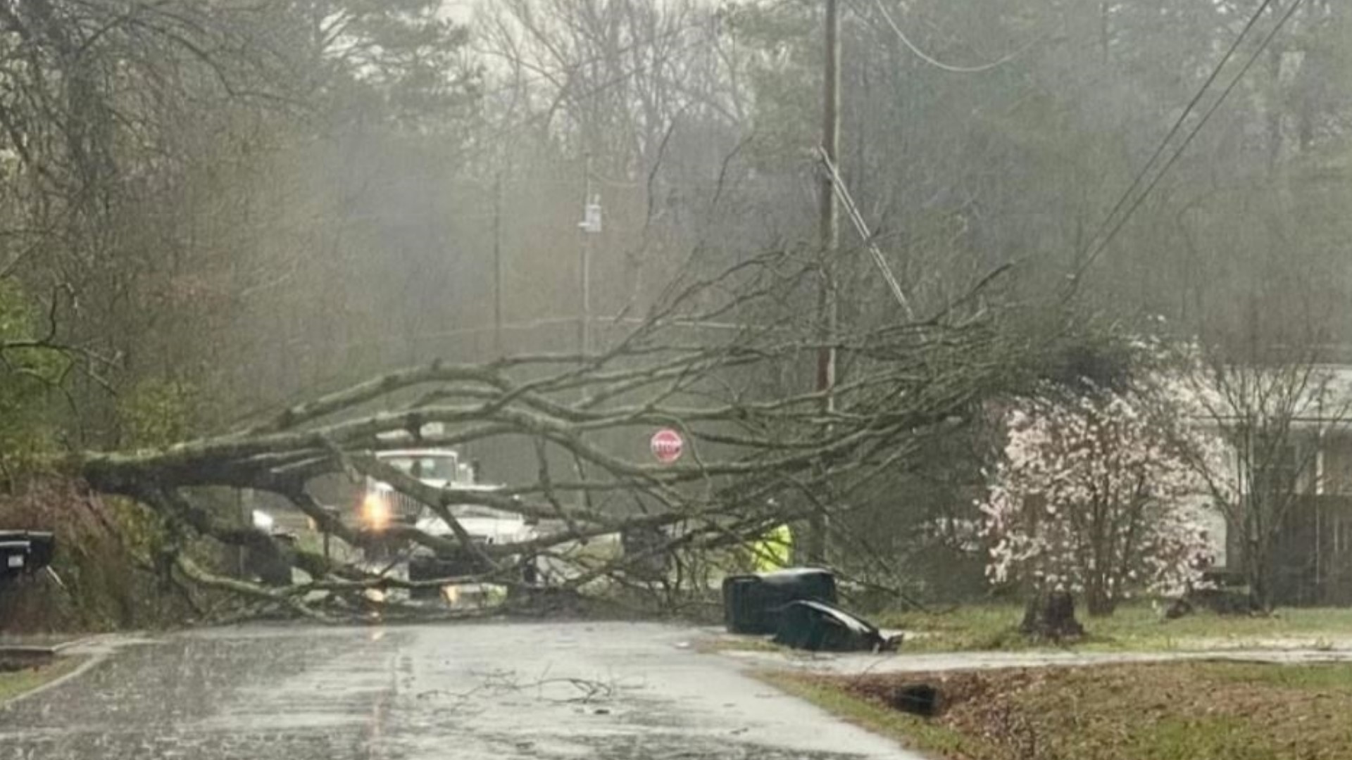 Feb. 28 storm damage, roads closed for Atlanta, Georgia | 11alive.com