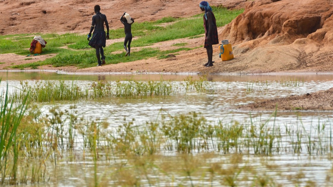 Guinea worm disease | What is it, how is it being eradicated | 11alive.com