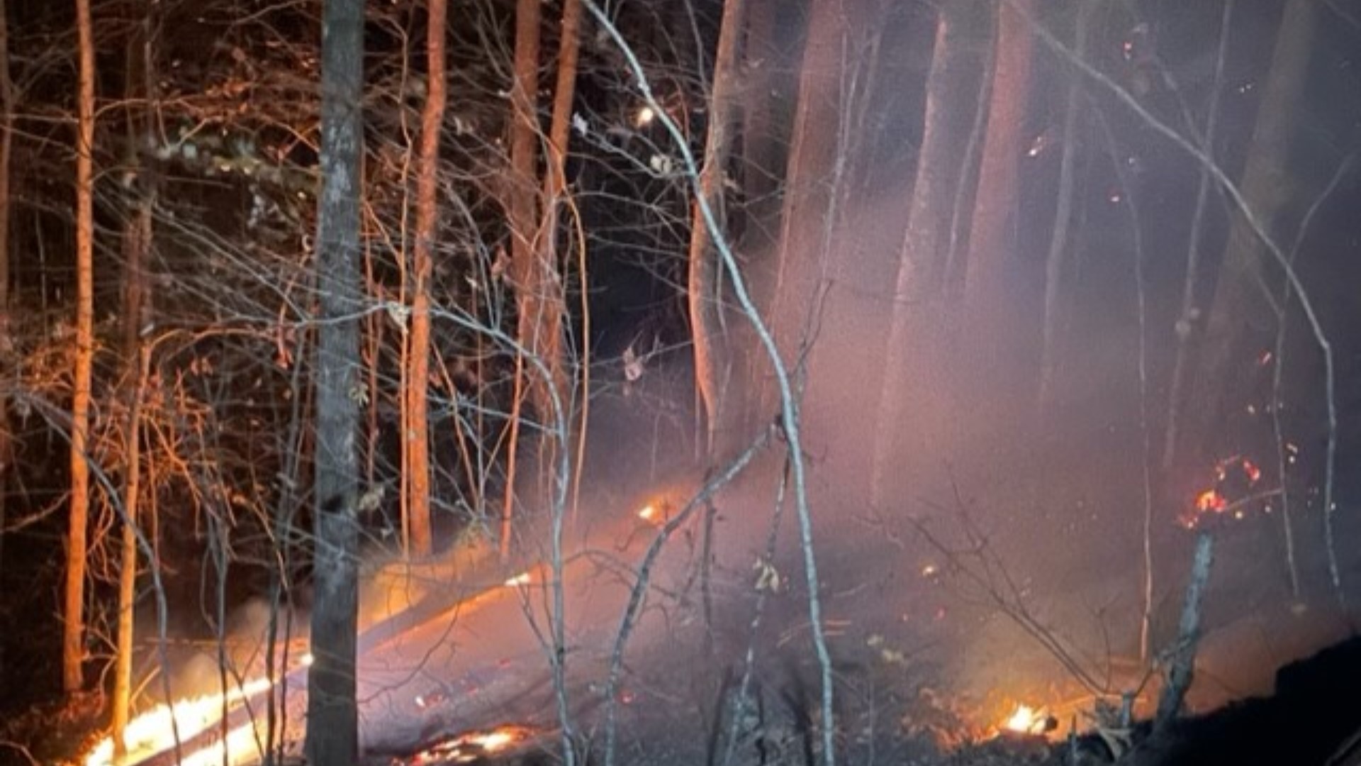 Whispering Lake contained to ground fire : Fannin Co. officials ...