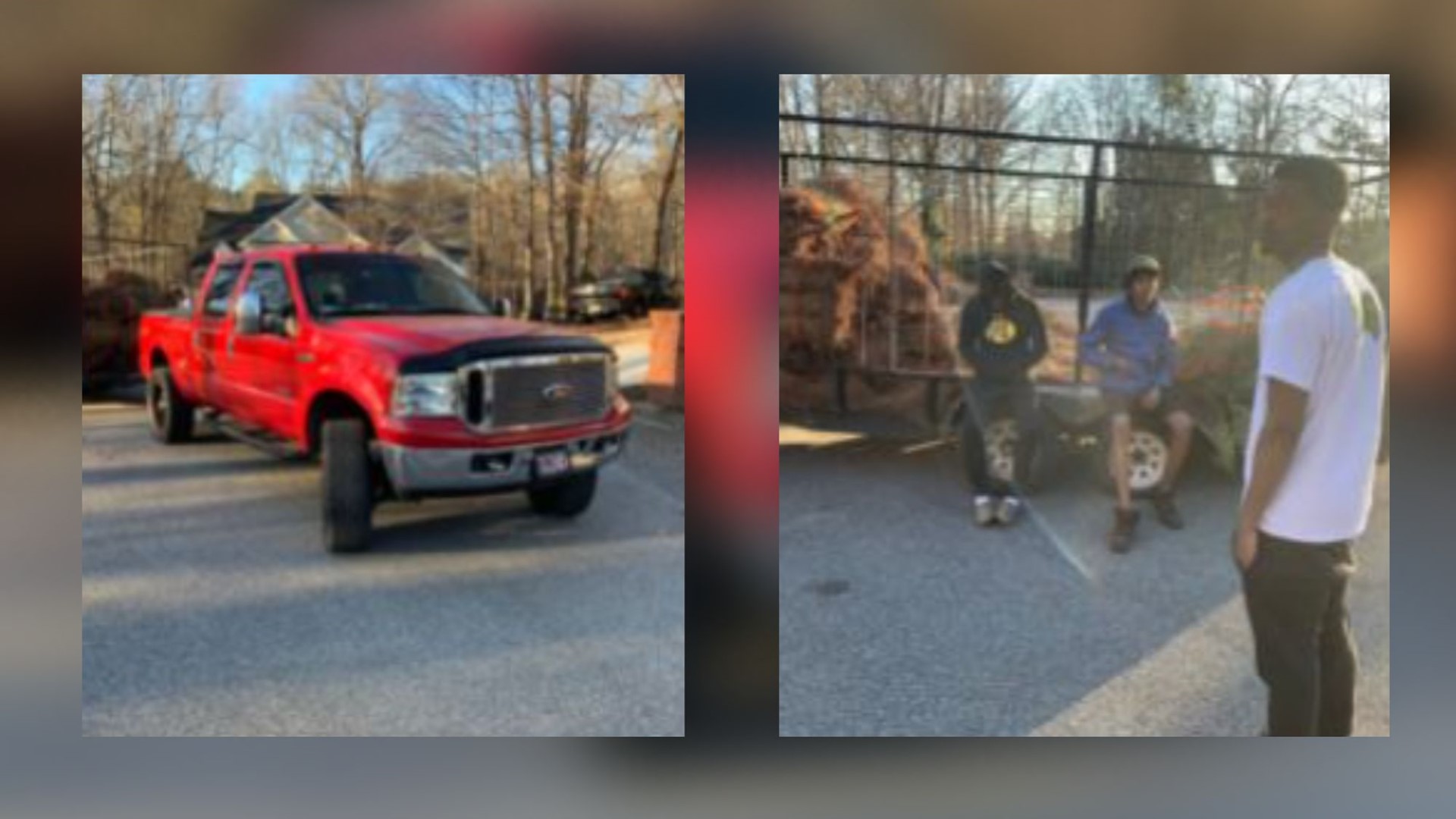 Pine straw scam in Forsyth County, metro Atlanta | 11alive.com