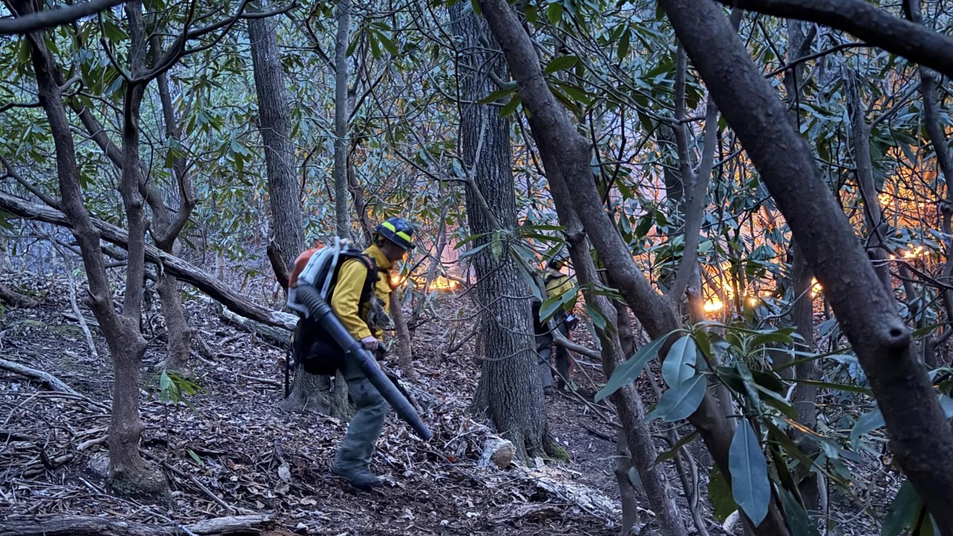 Big Ridge Fire spreads 1,000 acres | 11alive.com