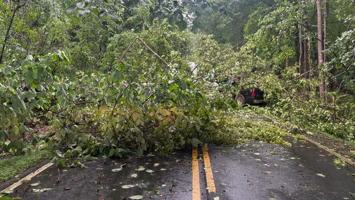 Georgia man crashes into fallen trees during severe storms | 11alive.com