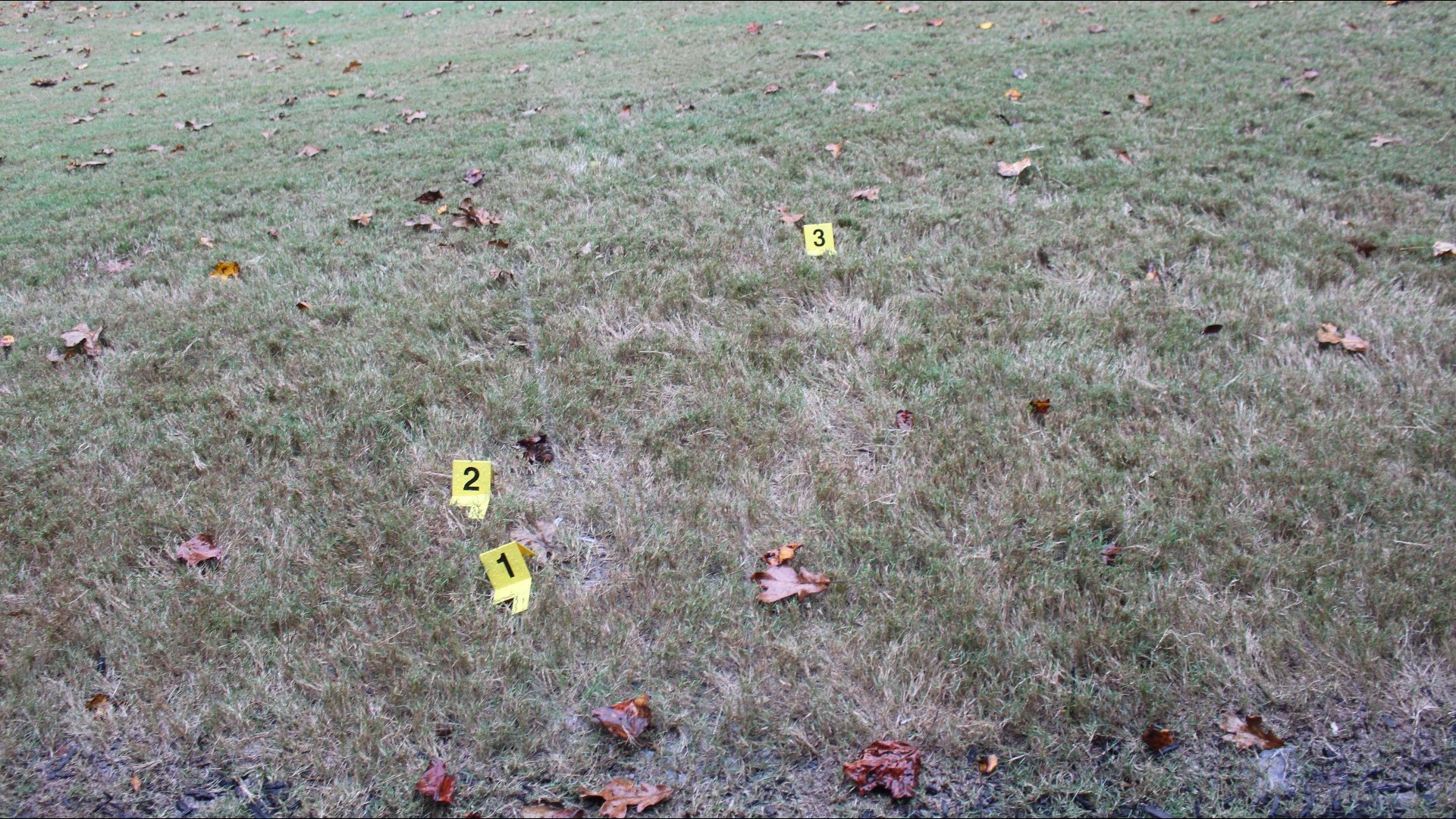 Inside the case file of the Tamla Horsford death investigation ...
