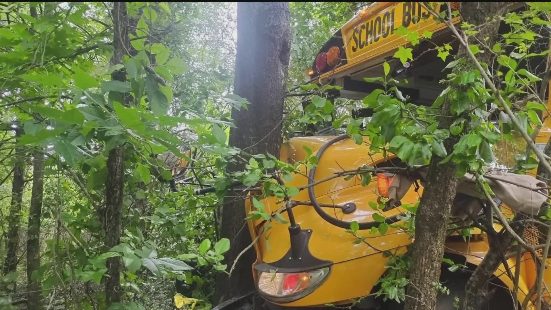 School bus crashes into tree in Jackson County, 5 students taken to ...