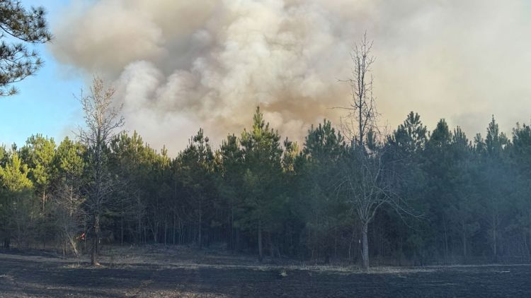 Where are the wildfires in Georgia | 11alive.com