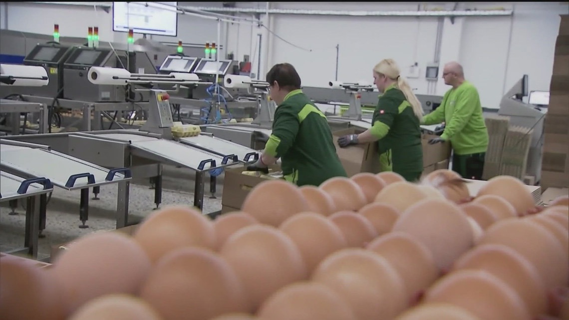 1-on-1 with State AG Commissioner Tyler Harper on bird flu | 11alive.com